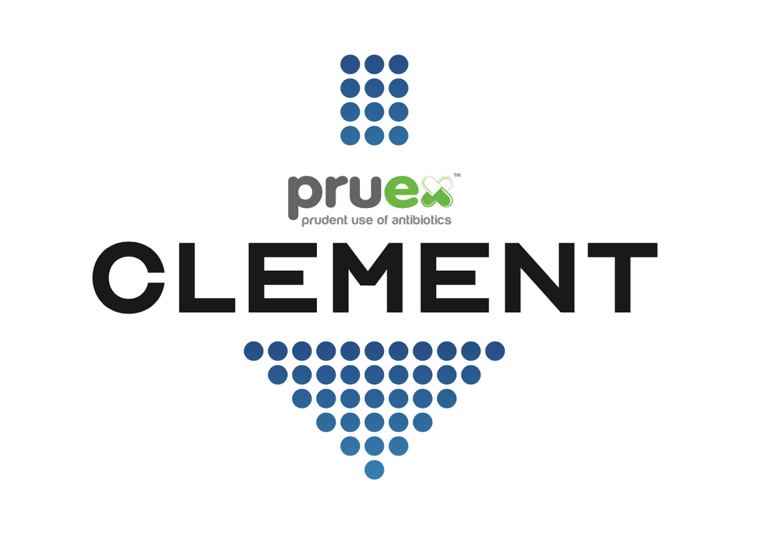 1.1 Pruex Clement In Line Pump for Water Plus – Pruex EU